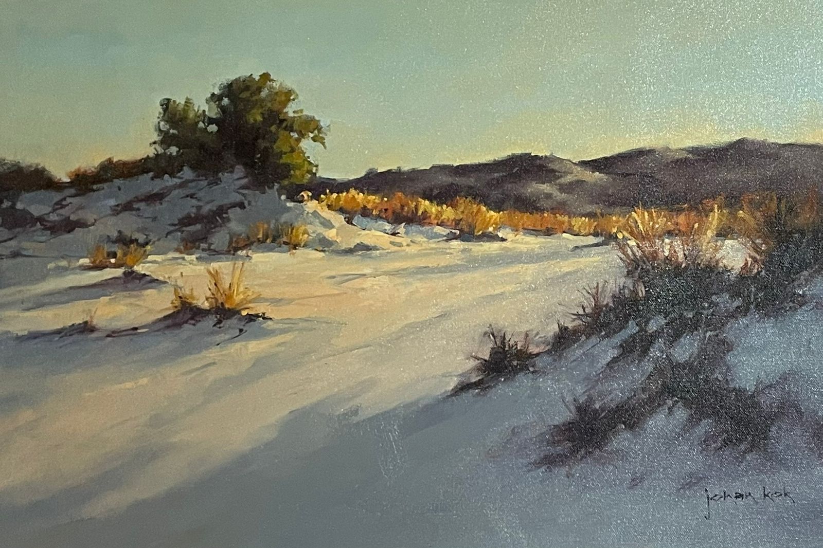 Johan Kok – Spektra Art