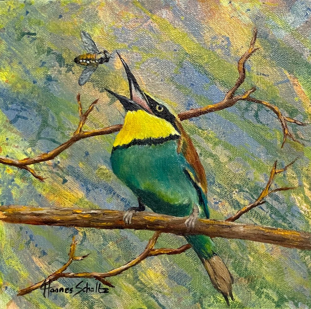 Bee eater 4 – Spektra Art