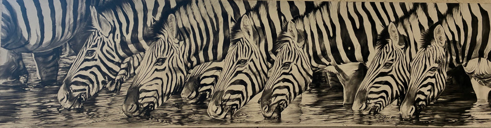 Land of Contrasts – Spektra Art