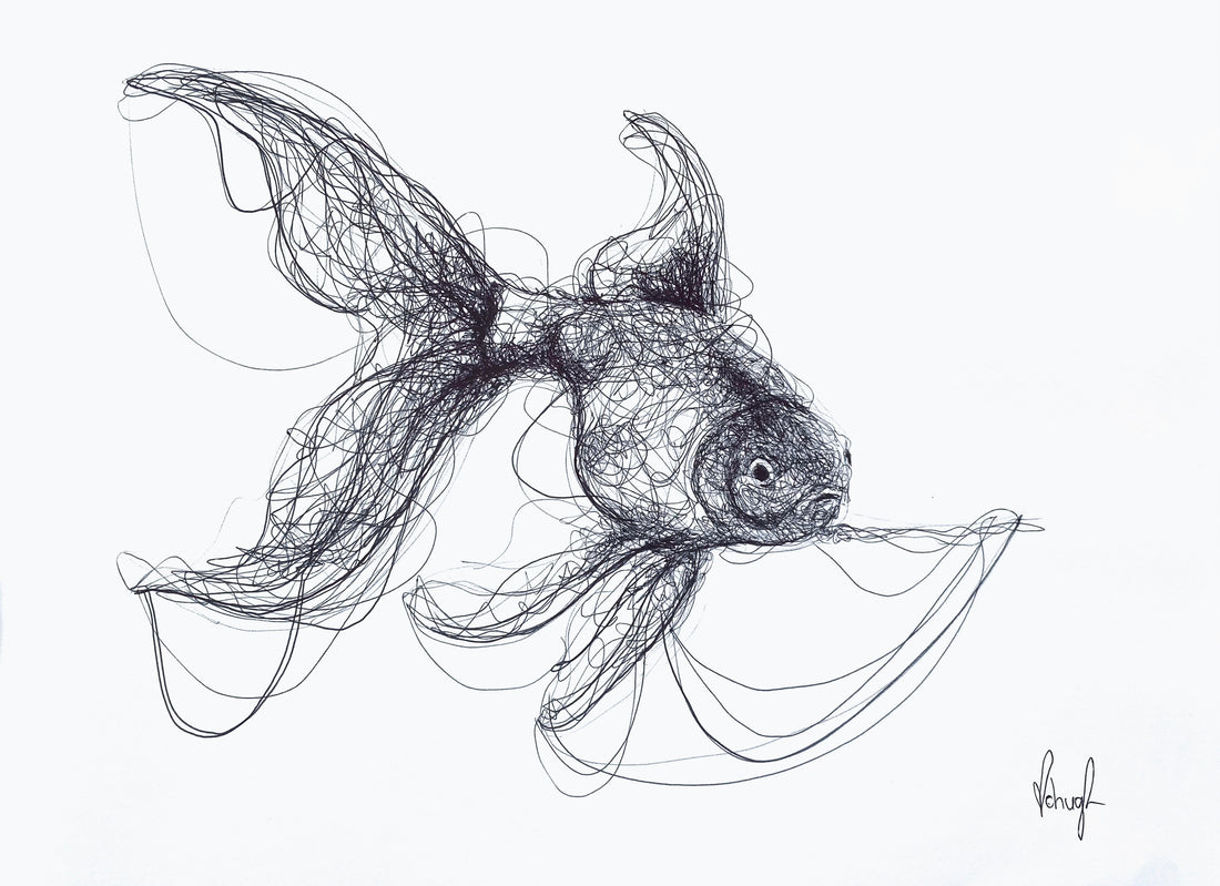 Scribble Fish – Spektra Art