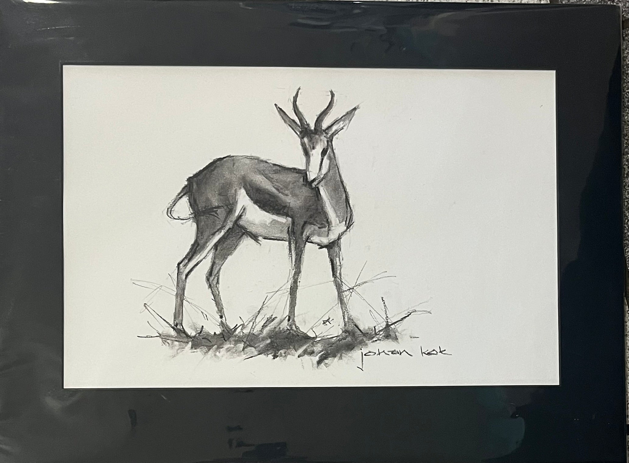Springbok 6 Lookout – Spektra Art